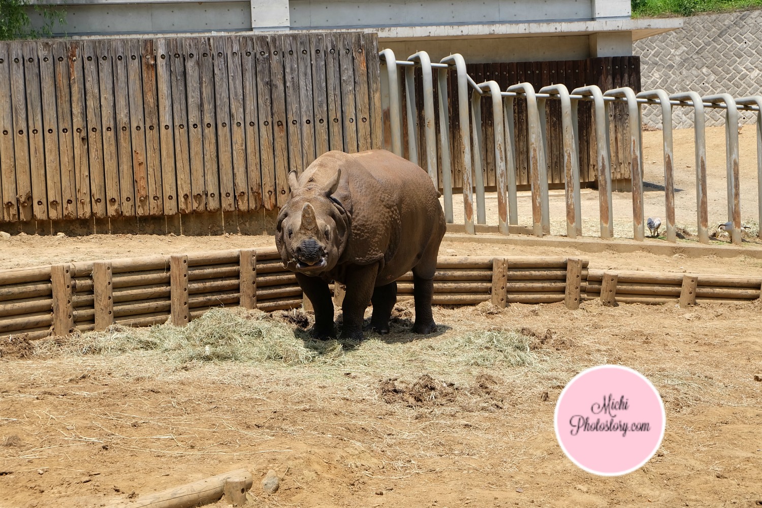 Michi Photostory: Japan Day 3: Tama Zoological Park
