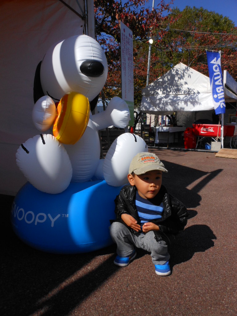 Cherry Blossoms and Persimmons - Life in Japan: The Tanuki Festival, 11 ...