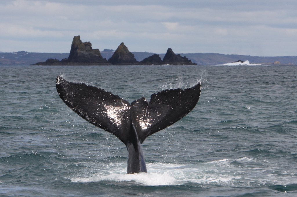 Union Hall : Things to do