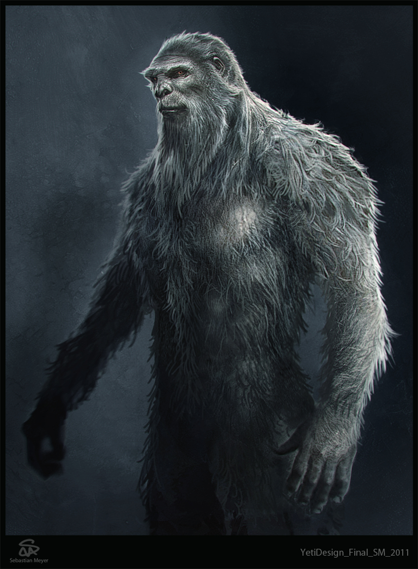 I Loved the Yeti: Meyers Yeti