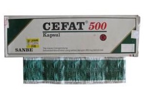 Harga Cefat 500 Mg Kap 100s Terbaru 2017 | Harga dan Komposisi Obat