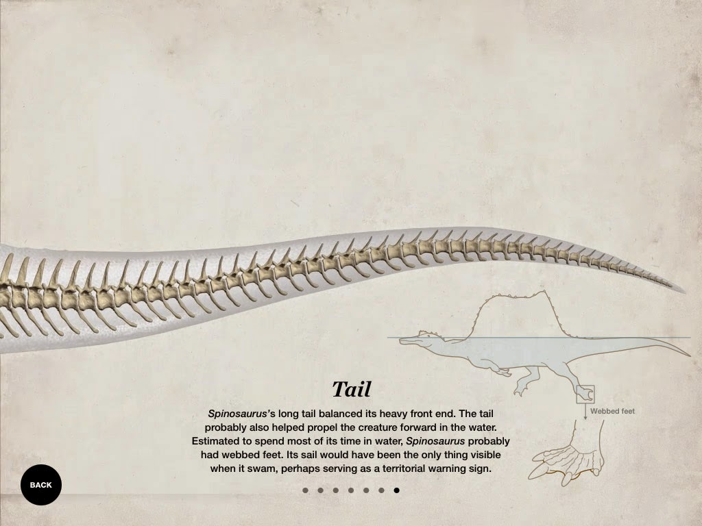 Species New to Science: [Paleontology • 2014] Semiaquatic Adaptations ...