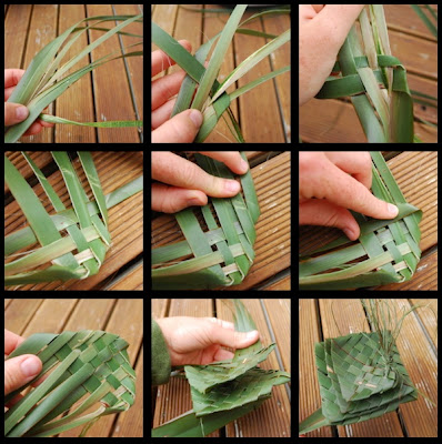 CCSP New Zealand Spring 2013: Fun With Flax