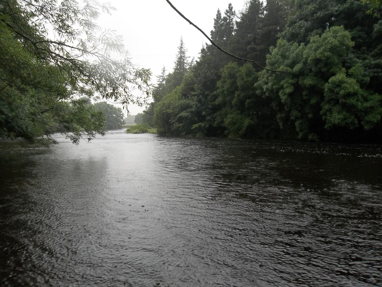 The Flee, Float & Foto: Wet Flees on a Wet Night on a Wet River.