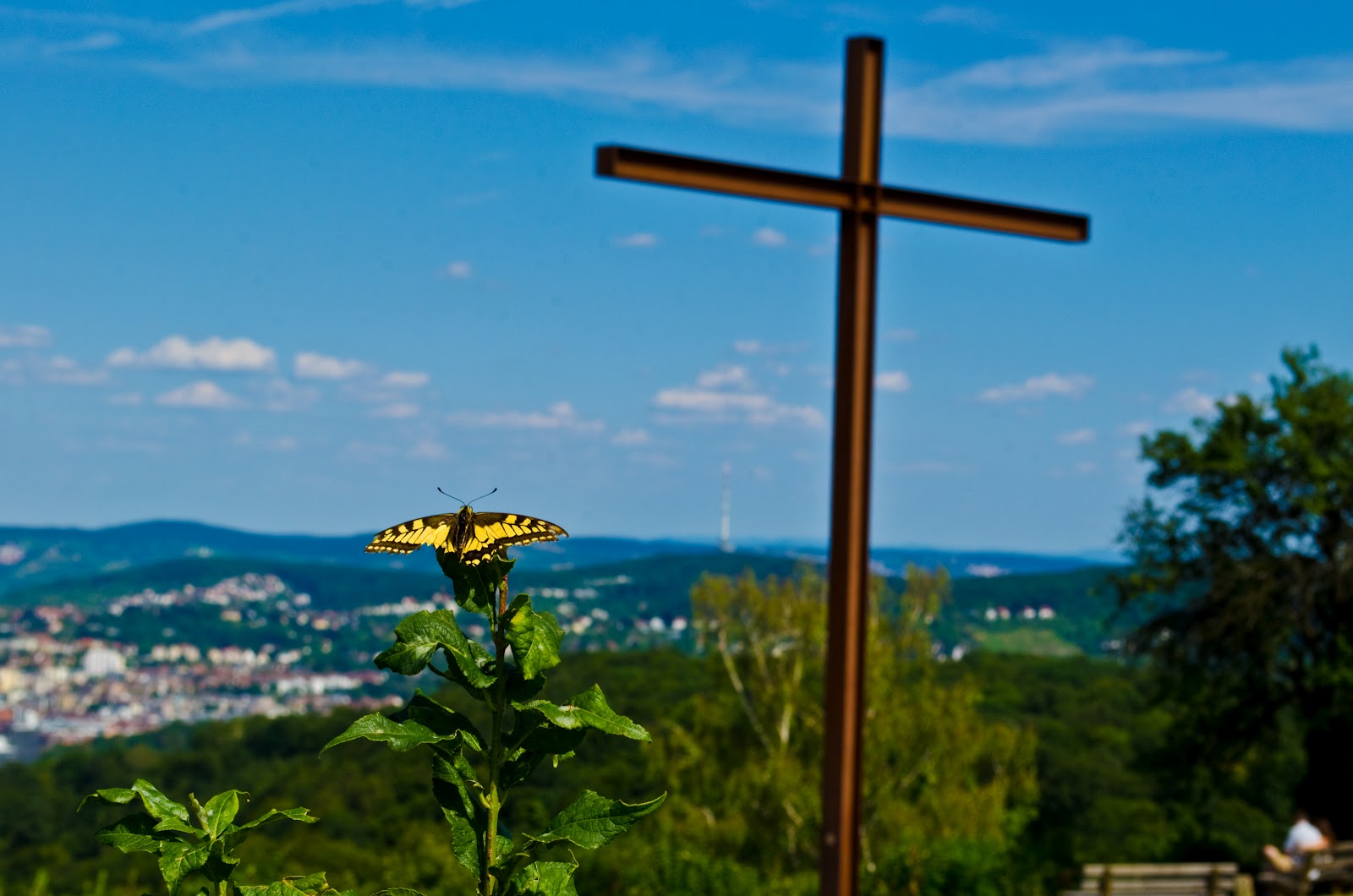 Right Here, Right Now: Stuttgart's World War II Legacy