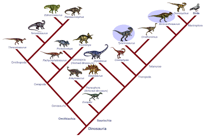 BIOFLAGRANTES*: CLADO E CLADOGRAMA