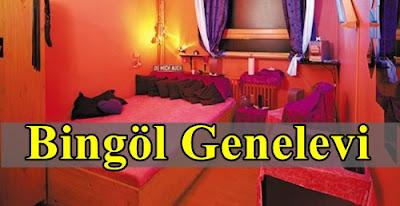 Sohbet Hattı: Bingöl Genelevi