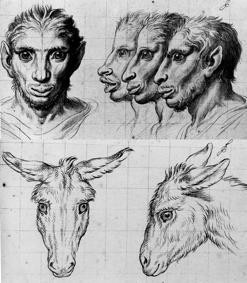 Muddy Colors: Physiognomy