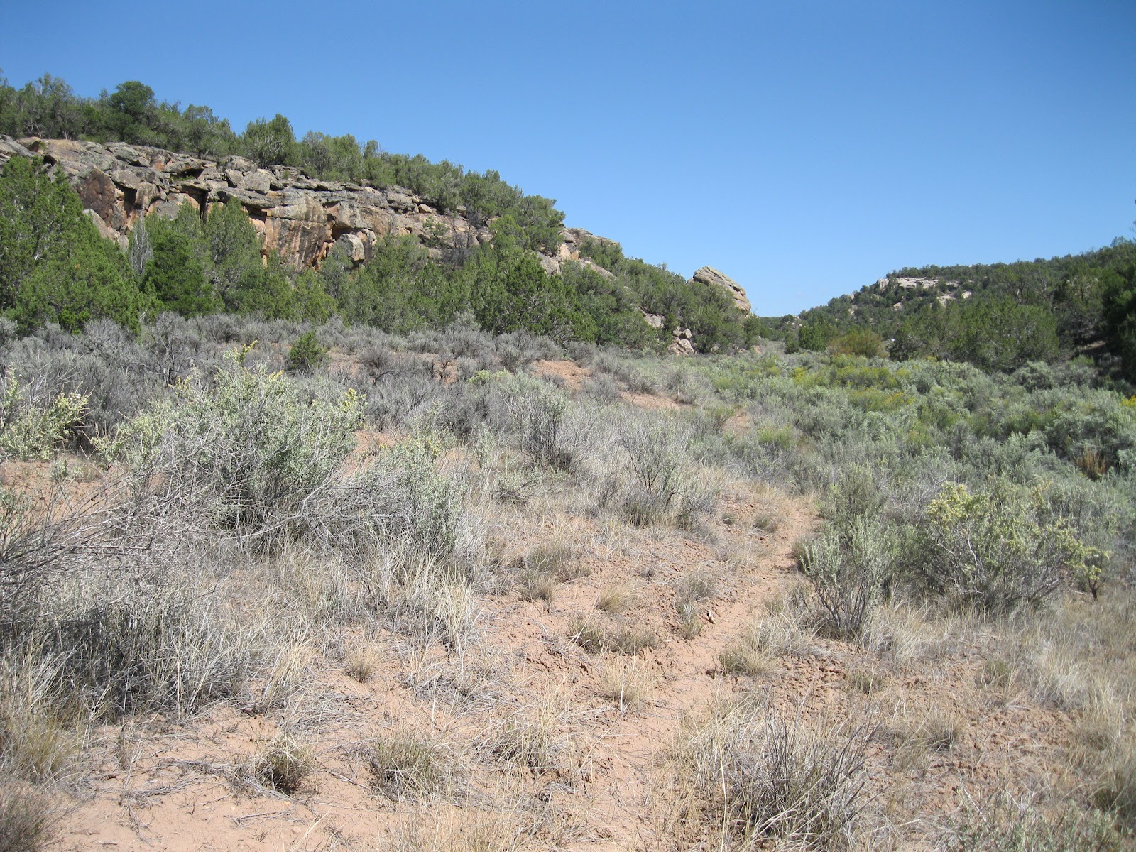 Four Corners Hikes-Canyons of the Ancients: Hovenweep Canyon near ...