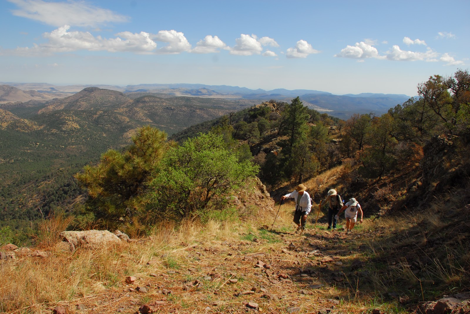 Texas Mountain Trail Daily Photo: Could YOU be a Master Naturalist?
