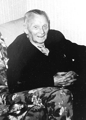 Ghost Blooms: The Early History Of The Van Asten's Of Haarlem, in the ...