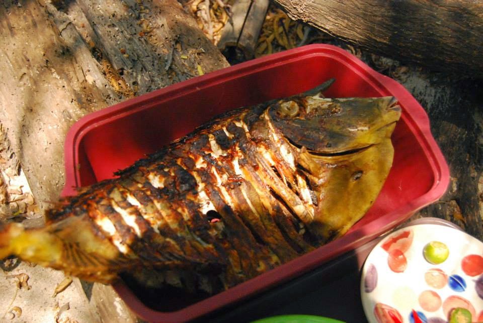 ChasingBetterDays: May 2014