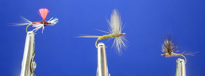 Hendrickson Hatch and Dry Fly Fishing has started on the Au Sable River ...