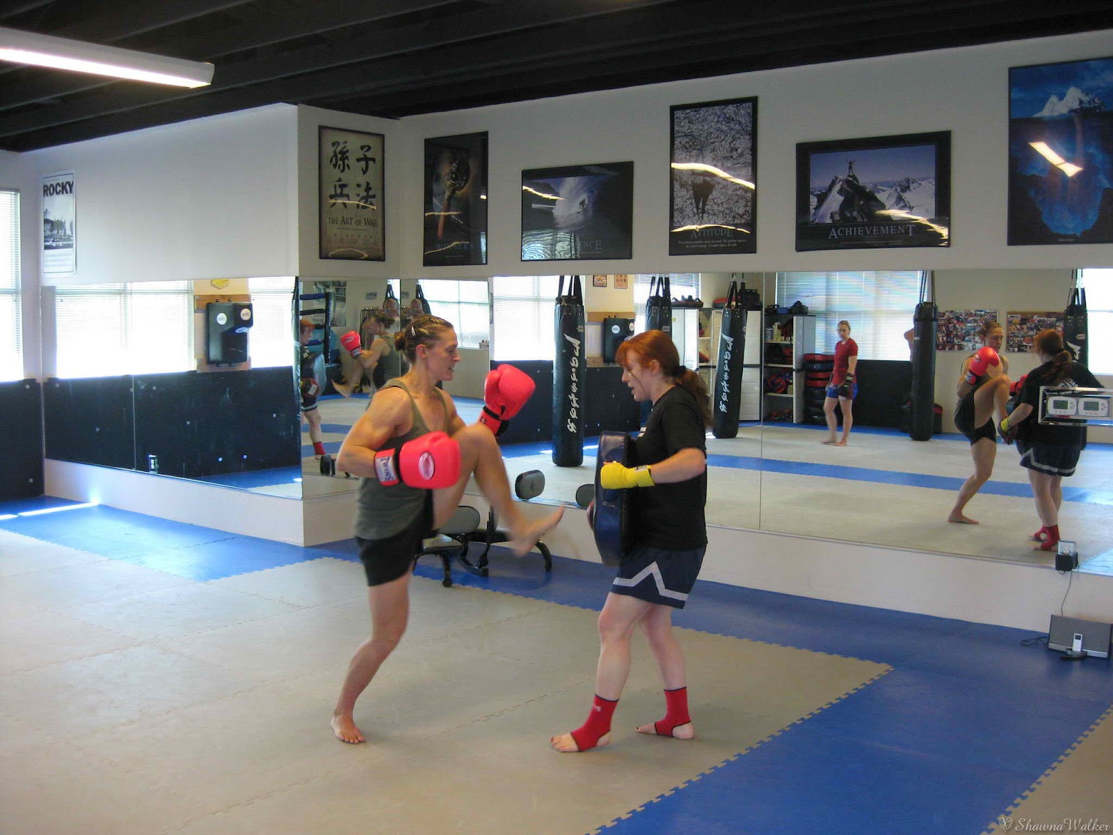 Mixed Martial Arts and More