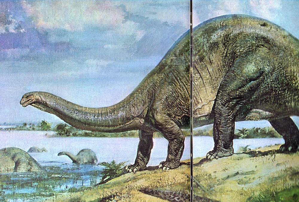 Love in the Time of Chasmosaurs: Vintage Dinosaur Art: Life before Man ...