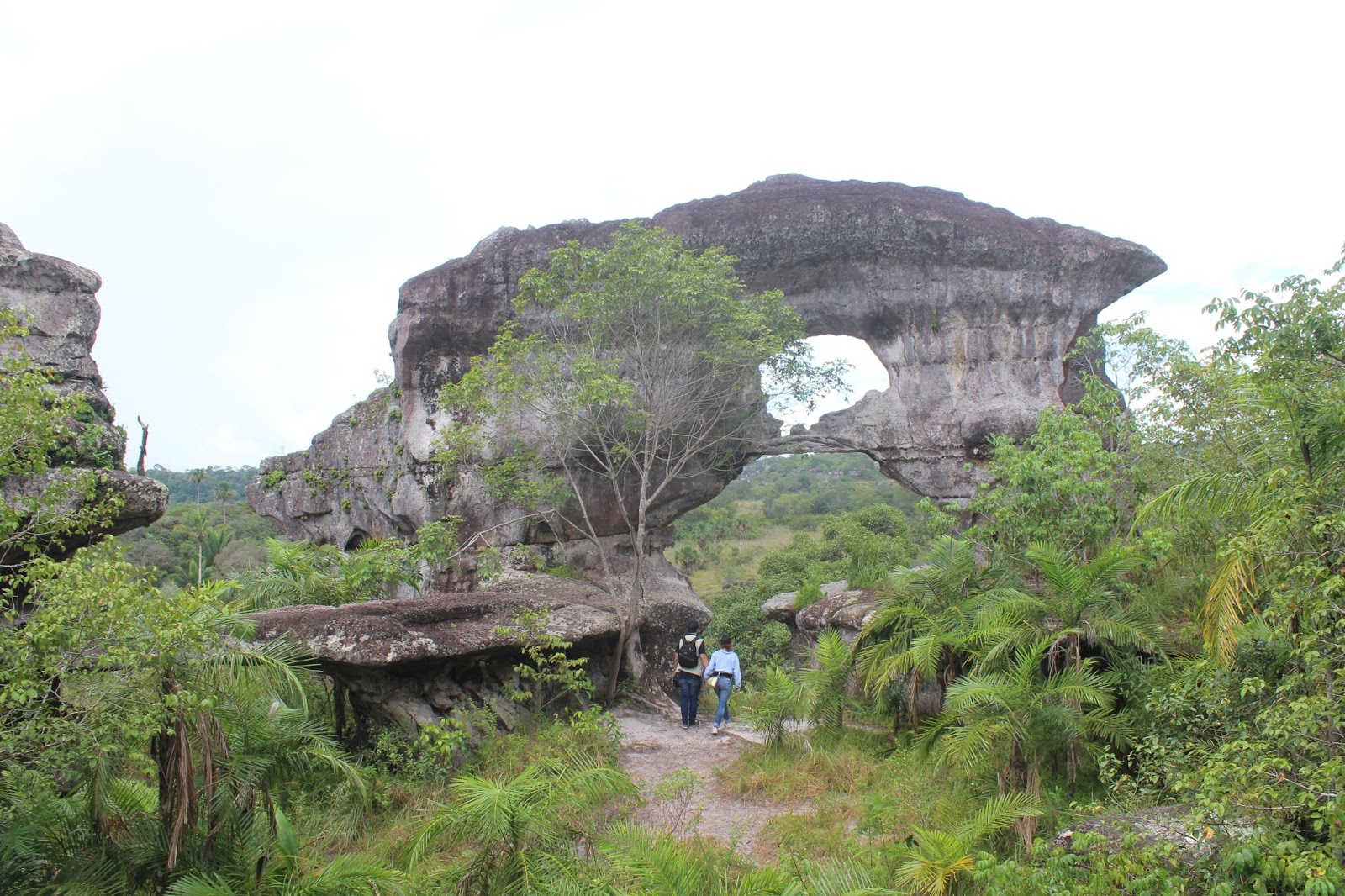 Una de las maravillas de San José del Guaviare - Agenda Hoy
