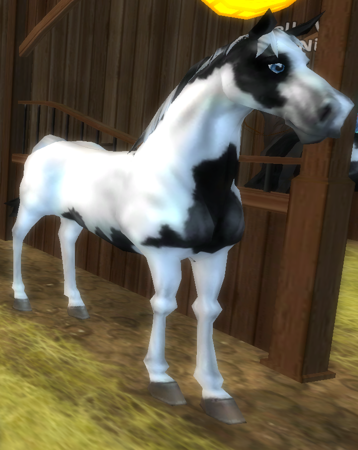 Star Stable Daily : Horse Breeds