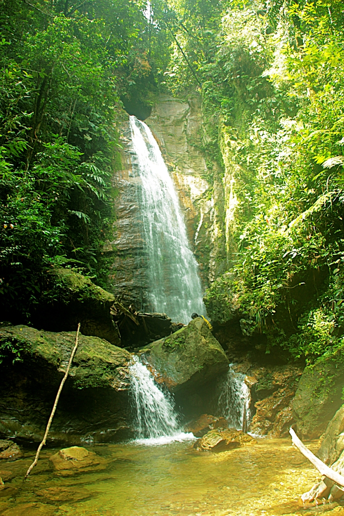 Inilah Ekspedisi Gunung Djadi "Gunung Pertama" di Riau - Kompasiana.com
