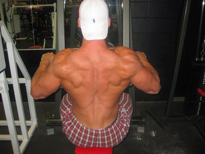 the beauty of male muscle: Steven