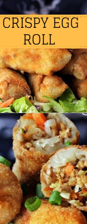 Crispy Egg Roll Recipe - Selfia Kitchen
