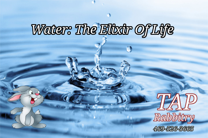 TAP Homestead And Rabbitry, Canton, TX (469)-526-3665: Water: The ...