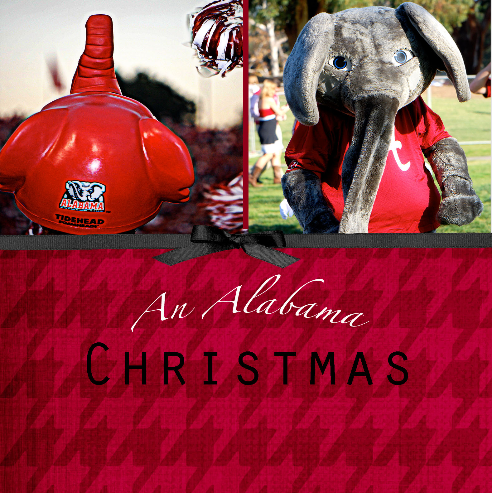 Jamie Cormier Photography