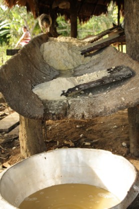 Blaka Rosu Euodia: Kasiri "De inheemse eeuwenoude drank"