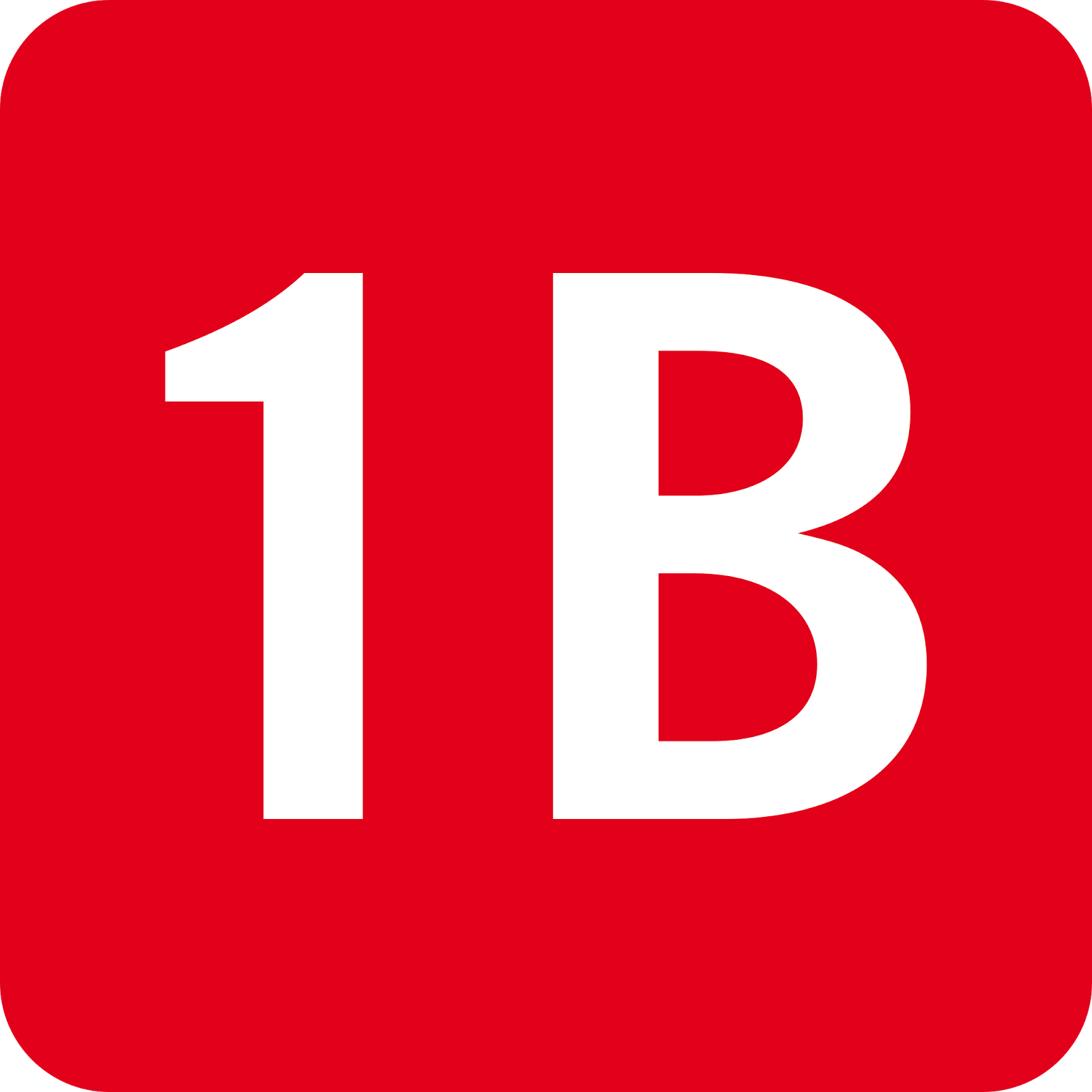 Secundaria NEA2000: Primero B