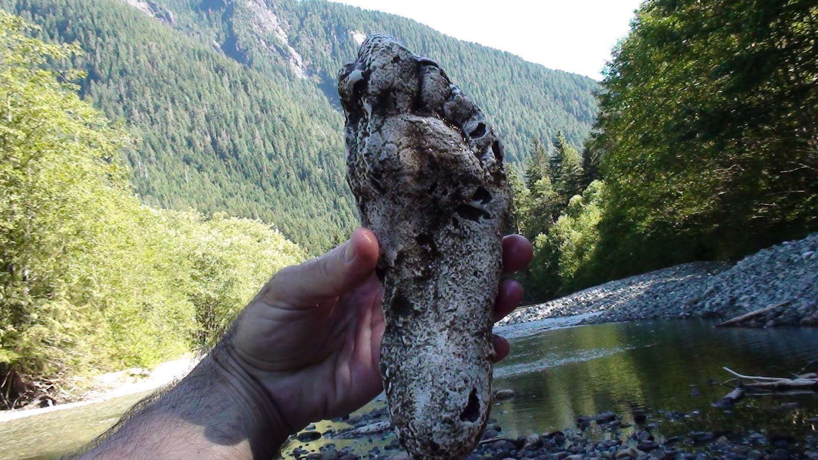 Randy Brisson Shows photos of squatch prints ~ The Crypto Crew