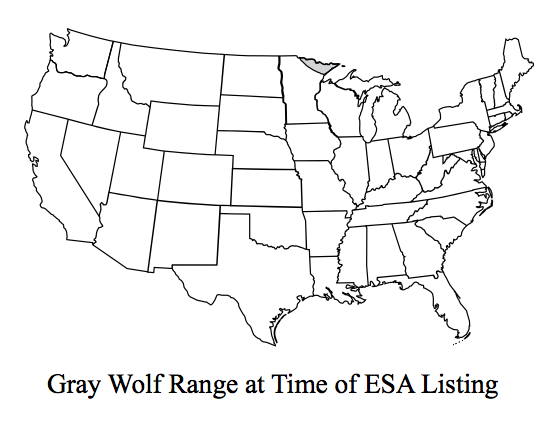 Inkfish: Finances with Wolves