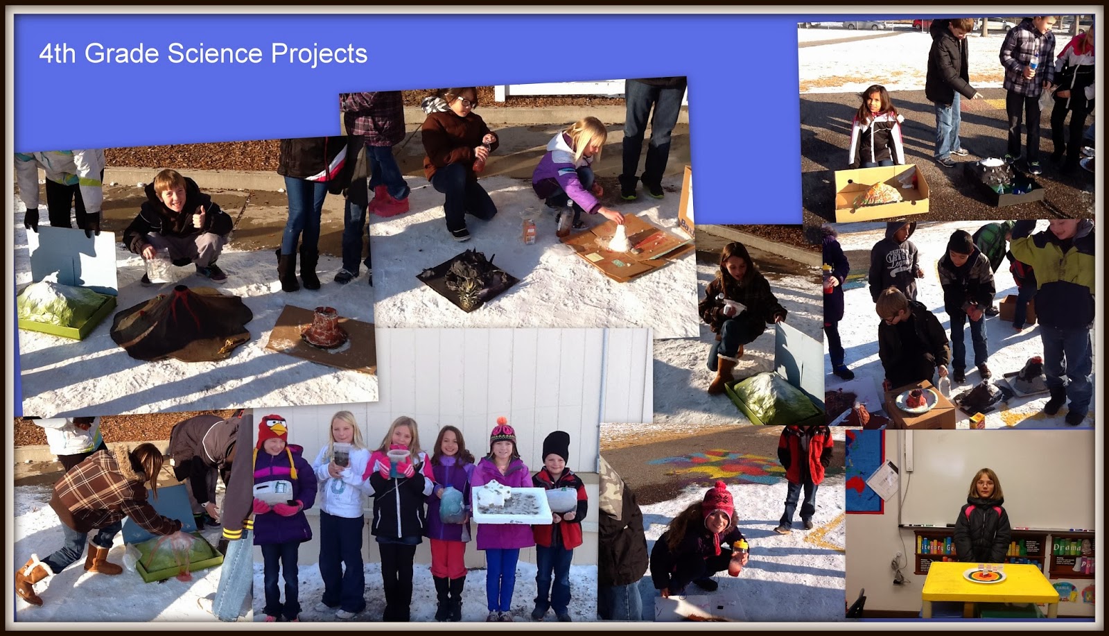 Principal: 4th Grade Science Projects