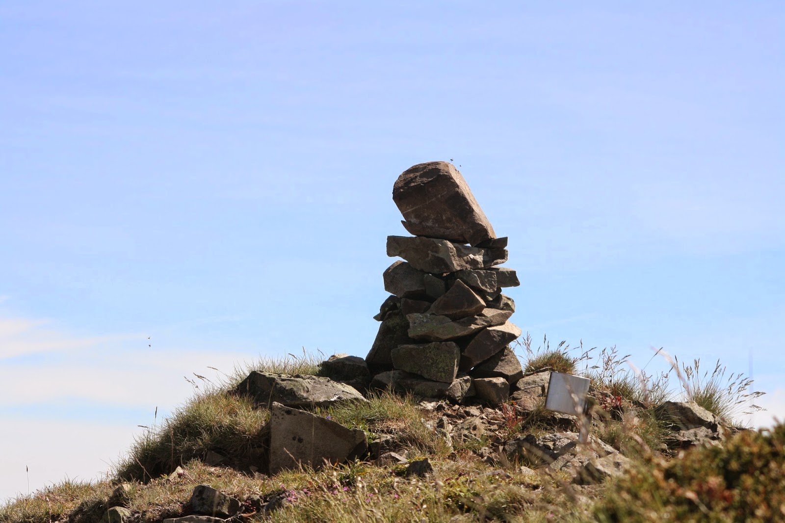 TINEO EN VERTICAL: noviembre 2014