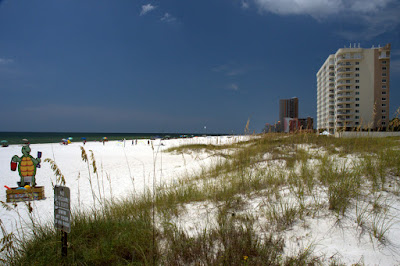 QuiltinCats: Rainy Days and Rainy Nights (Foley, AL)