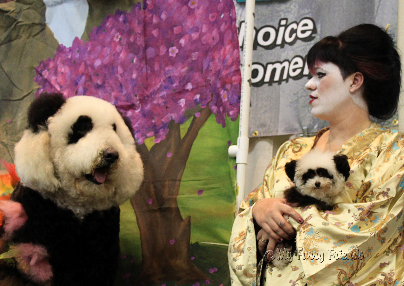 Pet Grooming: The Good, The Bad, & The Furry: Hershey Creative Grooming ...