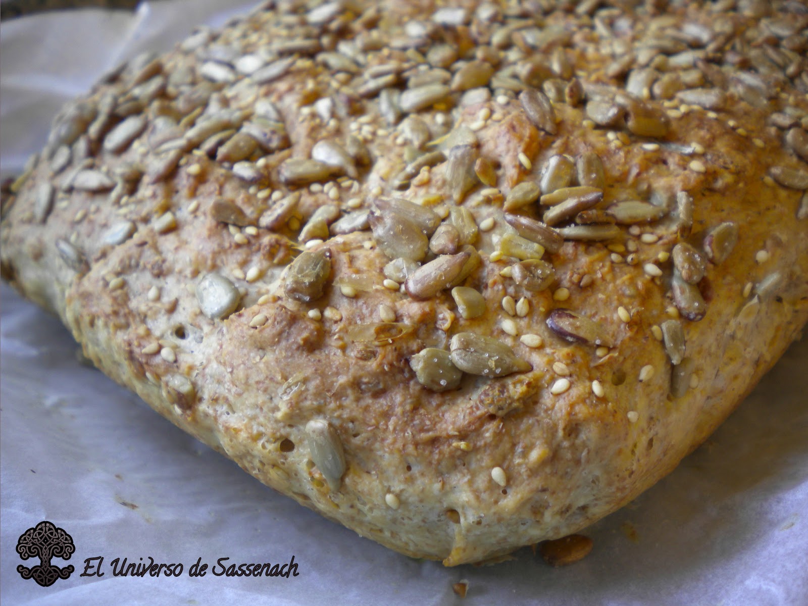 El universo de sassenach: PAN INTEGRAL CON PIPAS DE GIRASOL (THERMOMIX)