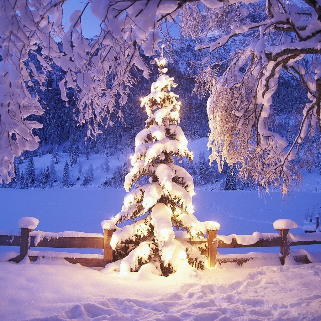 NINA S RECIPES WINTER WONDERLAND nina-s-recipes-winter-wonderland