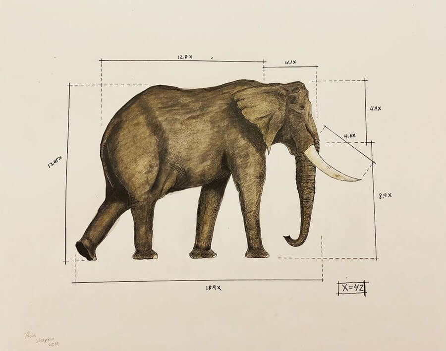 Design Stack: A Blog about Art, Design and Architecture: Animal ...