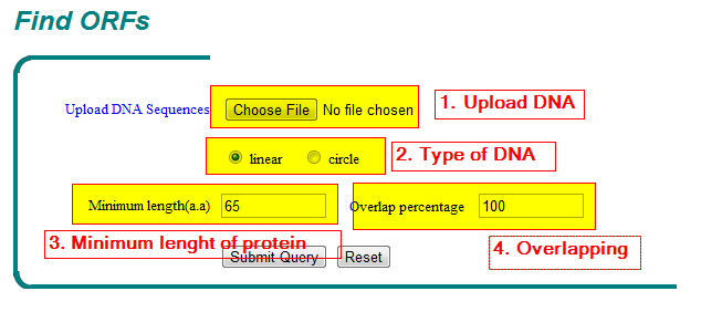How to Predict Gene from Multiple Sequence~ Bioinformatics Made Simple.com