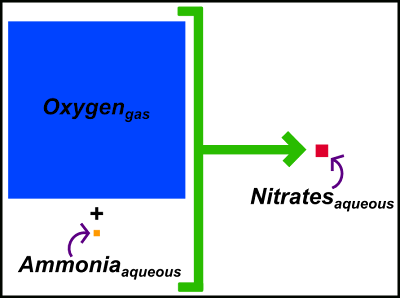 Science Minus Details: Why Pee is Cool - entry #3 - "Explosive ...