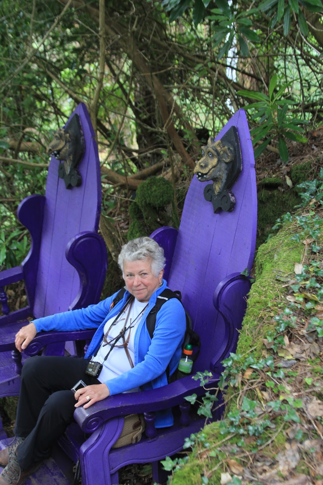 Glengarriff's gem - The Ewe Experience