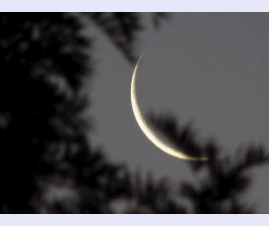 Lunas y Luces : Lunas de Marzo 2016 Fases. Gif - Vista De Argentina.