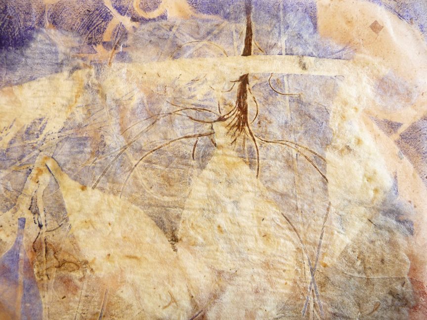 Sandra Pearce: Silk Paper