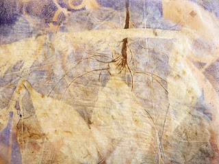 Sandra Pearce: Silk Paper