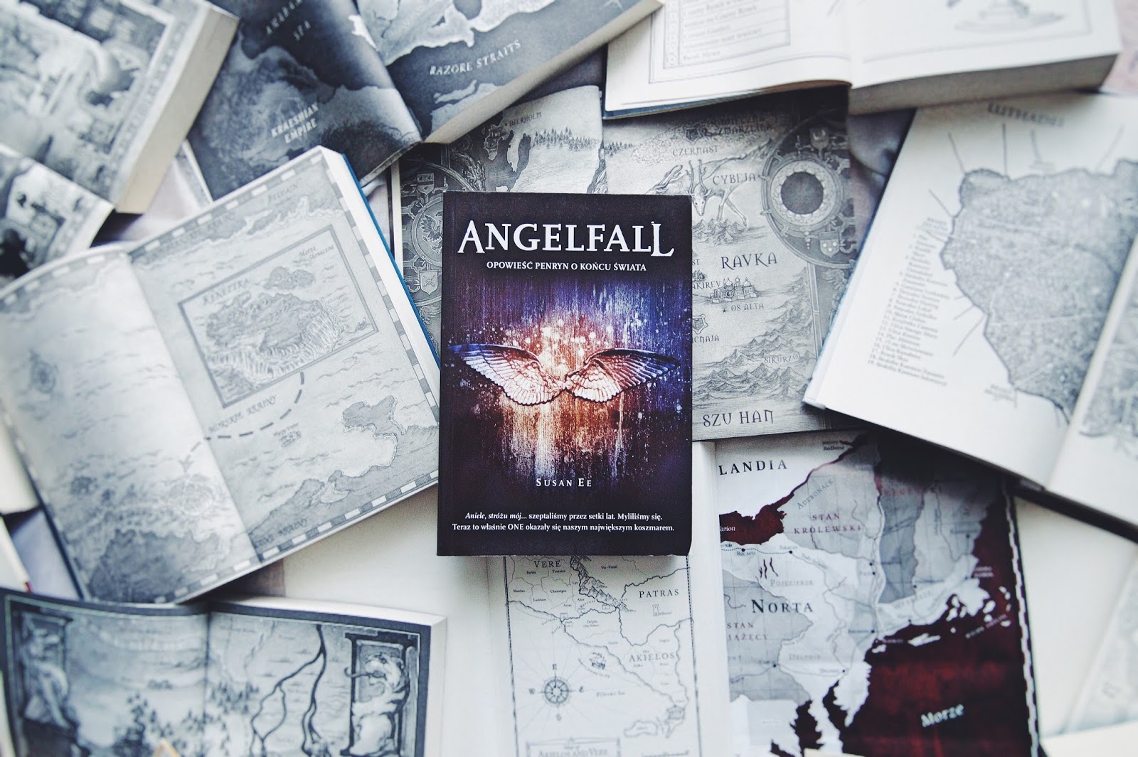 Angelfall - Opowieść Penryn o końcu świata - Susan Ee - Go away, I'm ...