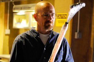 Doux Reviews: Breaking Bad: Fly