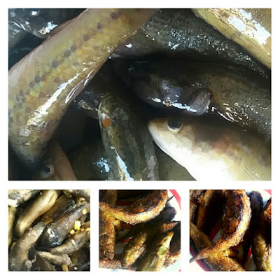 Ilocos: Bunog, The Ilocano Fish Favorite