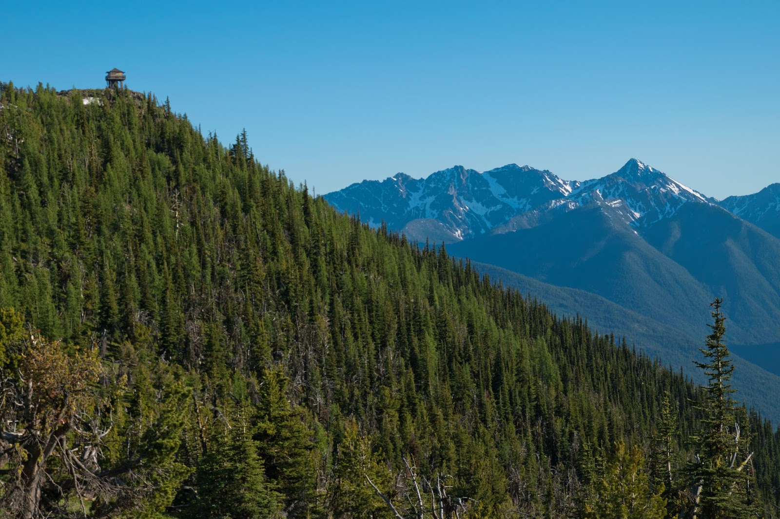 Hiking Shenandoah: Goat Peak Lookout (North Cascades)