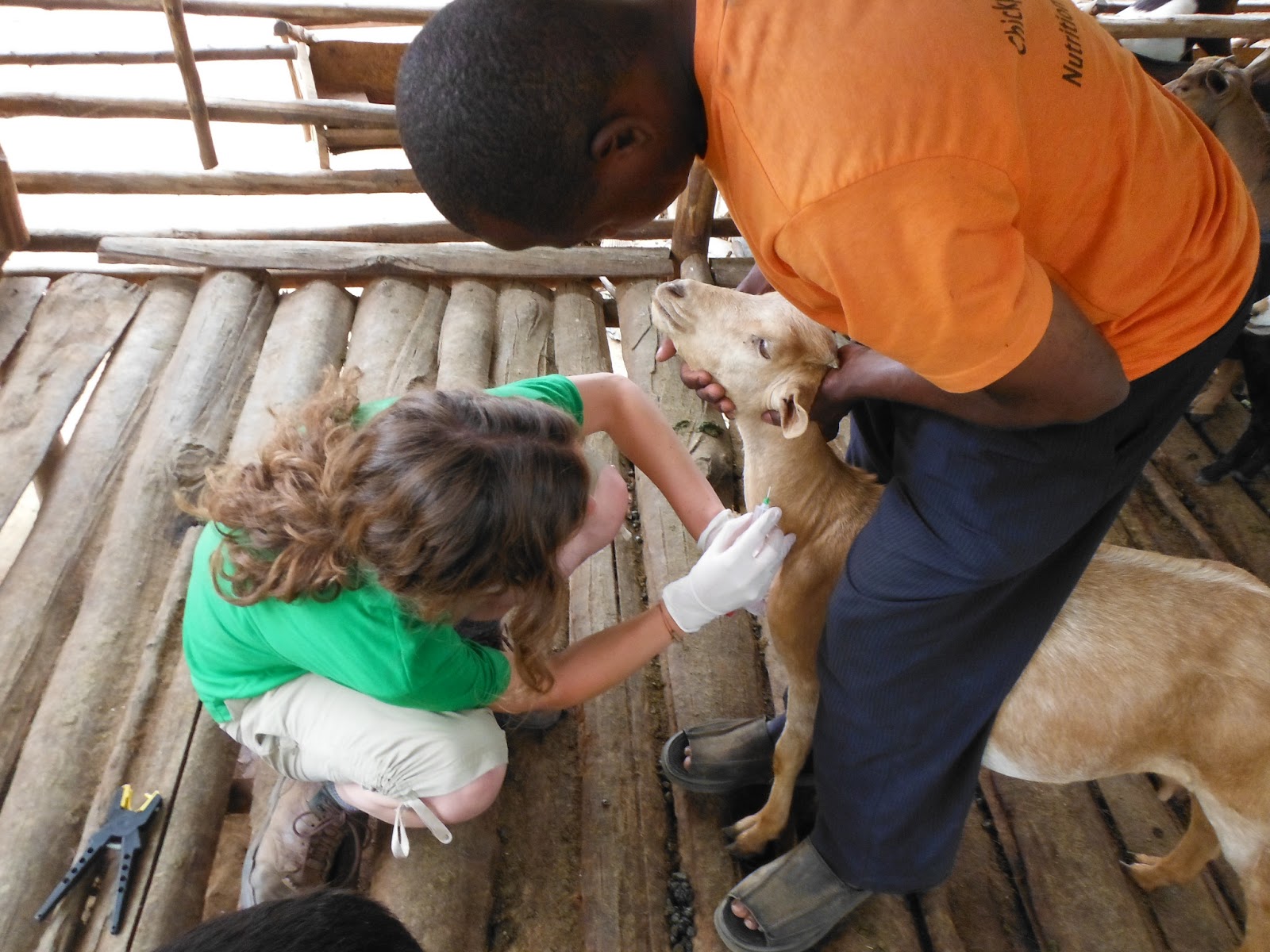 Uganda Goat Project 2013: The Goat Pass Out Ceremony