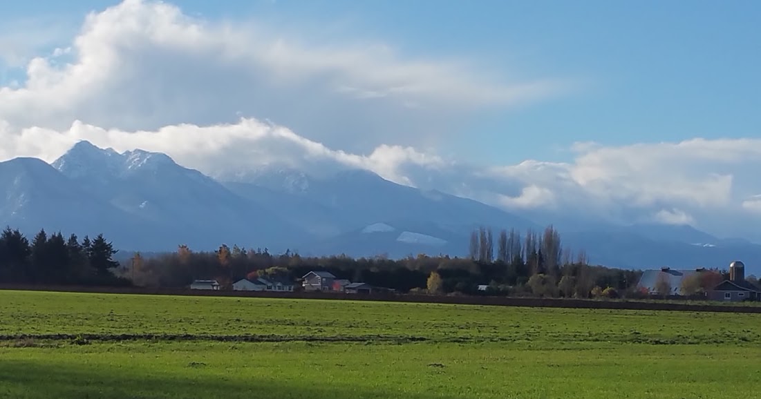 Cinnamon the Traveling Coonhound: Sequim Washington: Cinnamon's Dog ...