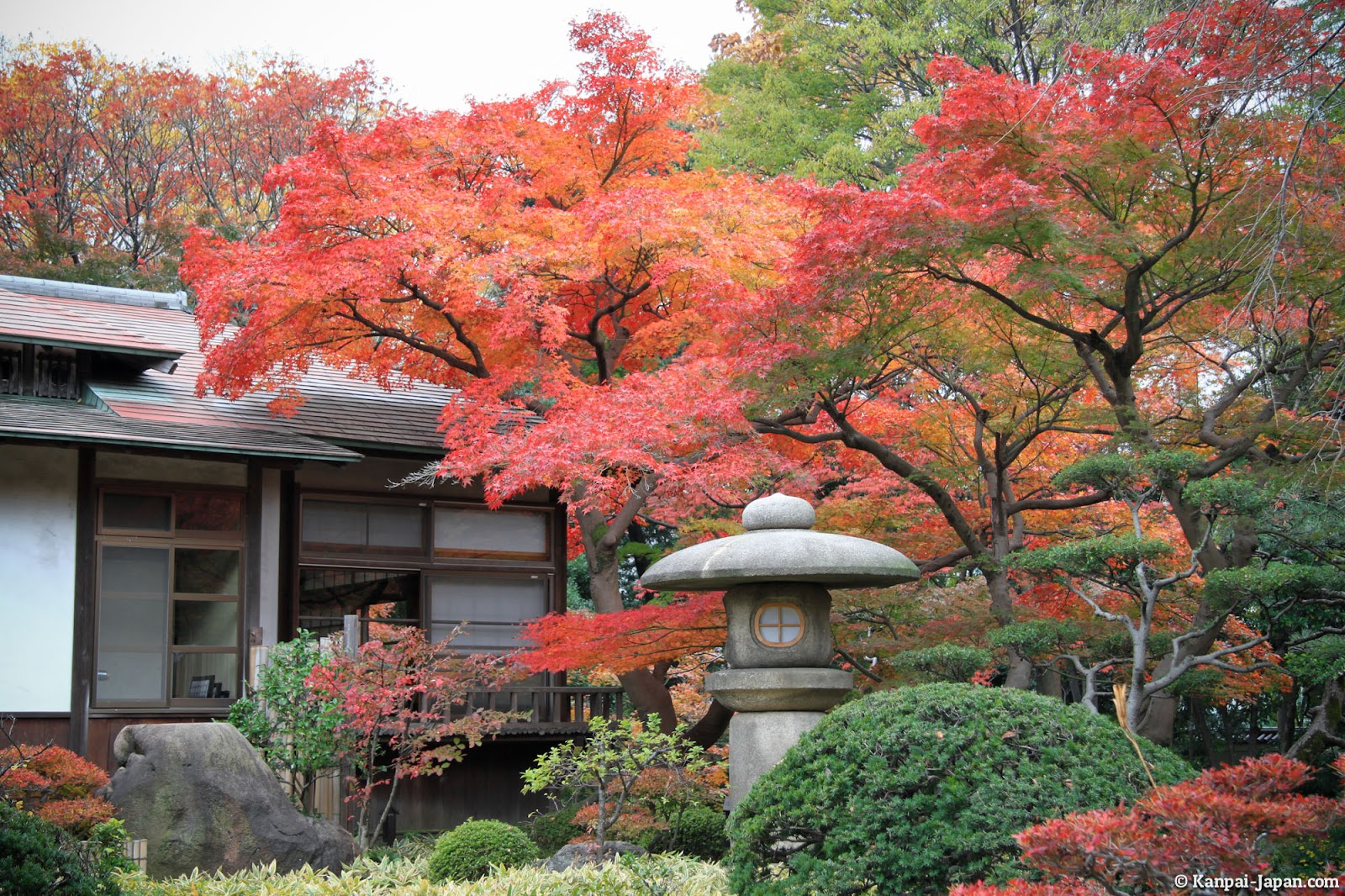 El espiritu de las plantas: La belleza de los parques japoneses, una ...